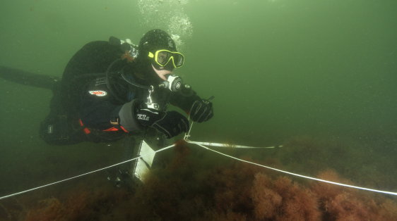 NextGen Legacy Project | GUE